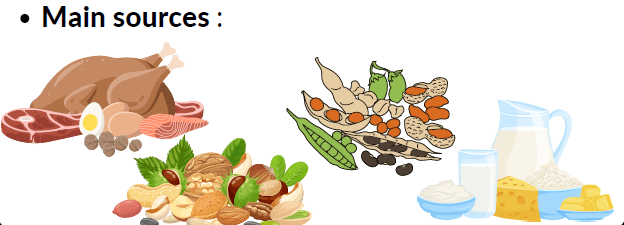 What Molecules Does Food Contain? - My Food My Future