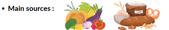 What Molecules Does Food Contain? - My Food My Future