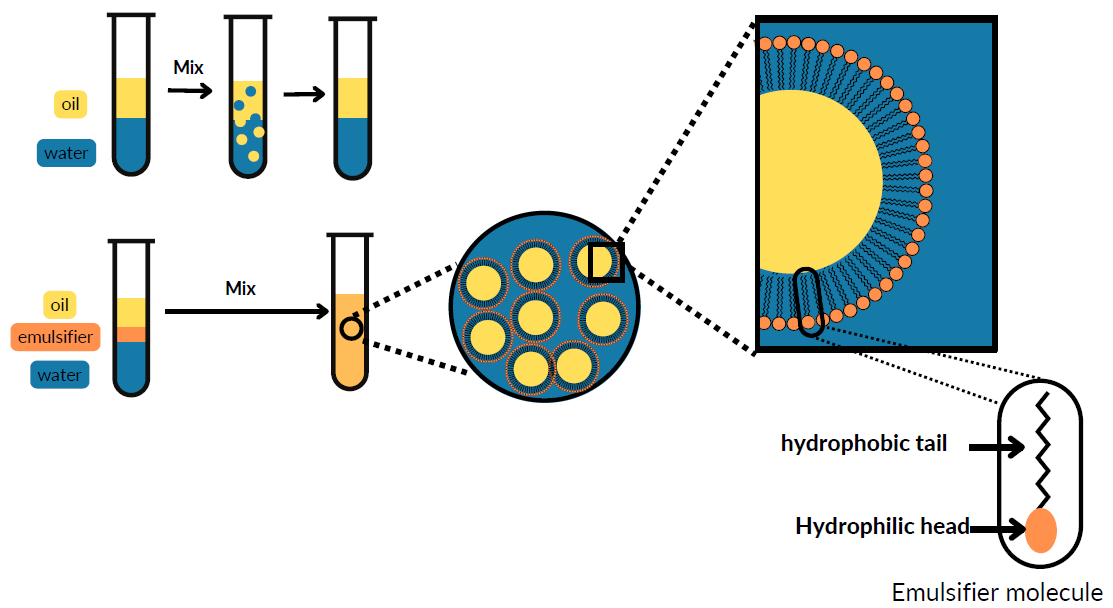 Emulsifiers : What does the research say? - My Food My Future
