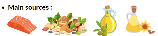 What Molecules Does Food Contain? - My Food My Future