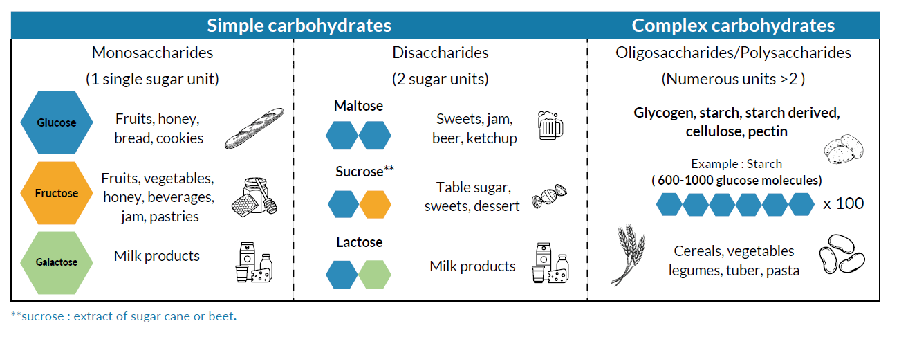 What Molecules Does Food Contain? - My Food My Future