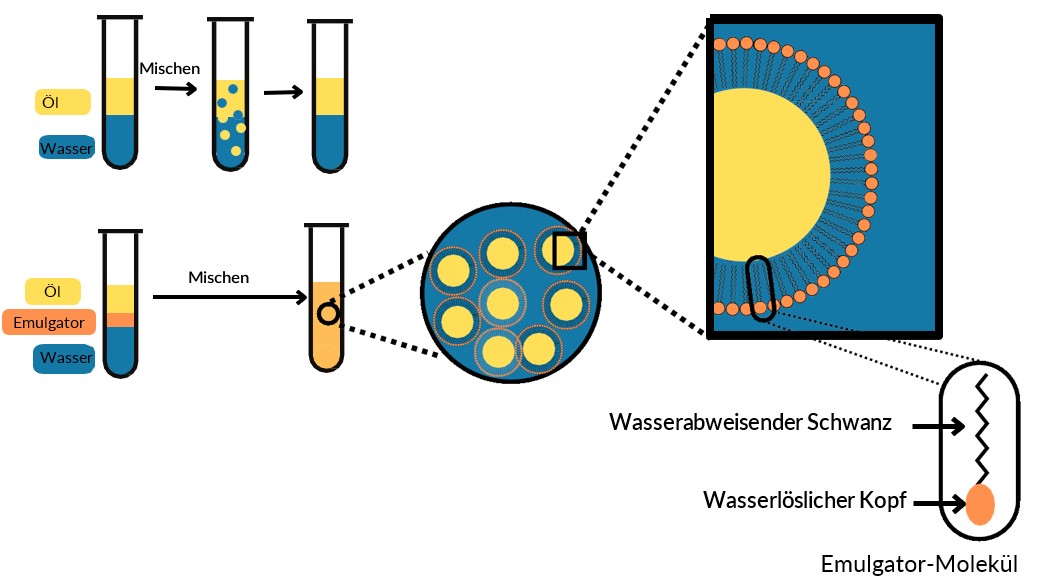 Emulgatoren: Was sagt die Forschung dazu? - My Food My Future